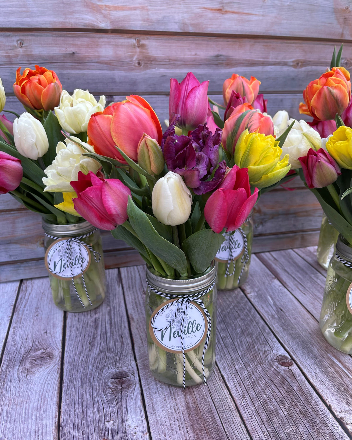 Spring Tulip Market Jar - Local Delivery - 4.15.23 | Neville Farms
